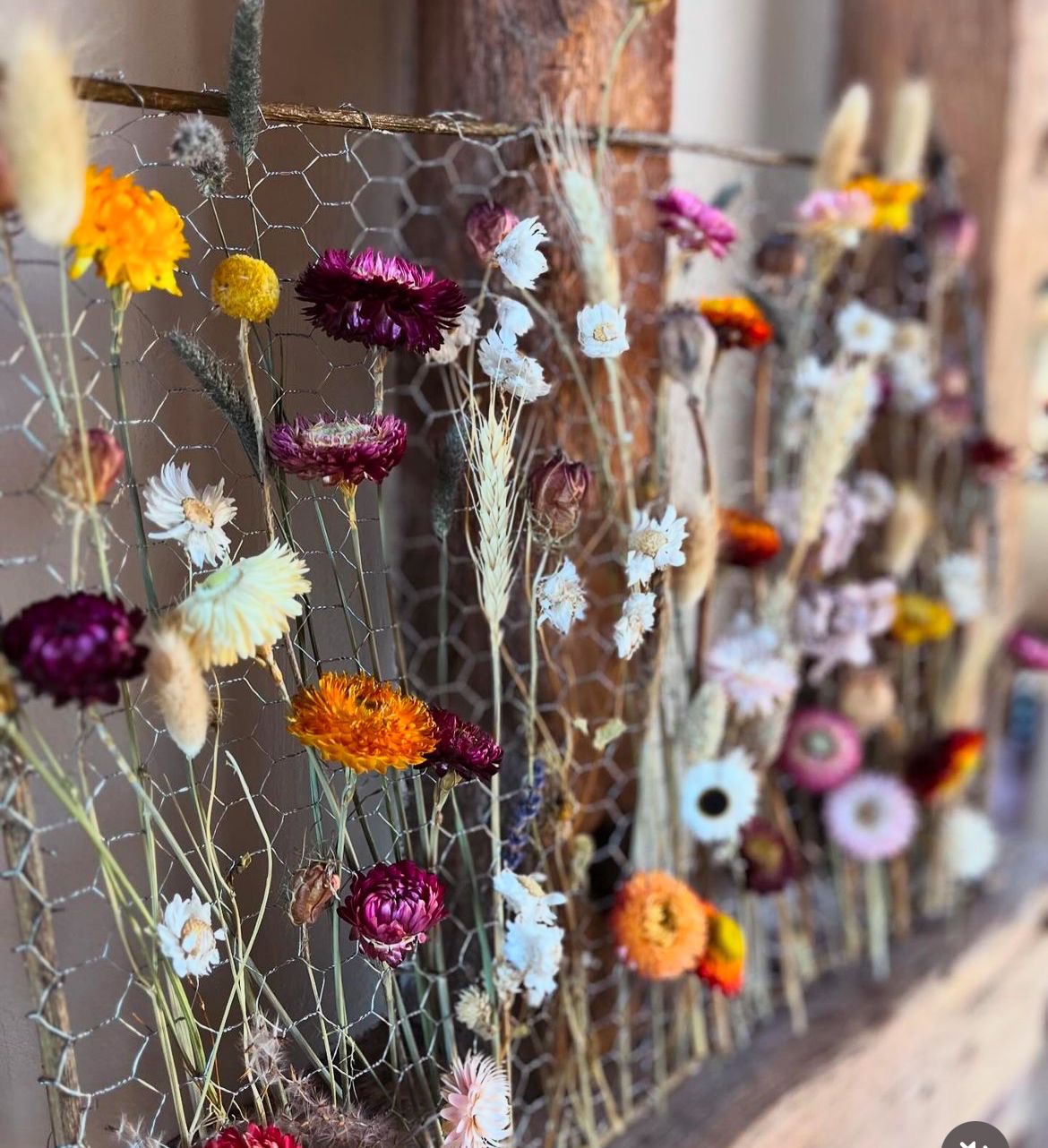 Meadow Panel Workshop – The Foraged Flower